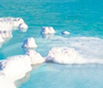 Dead Sea Skin Care – Deluvia